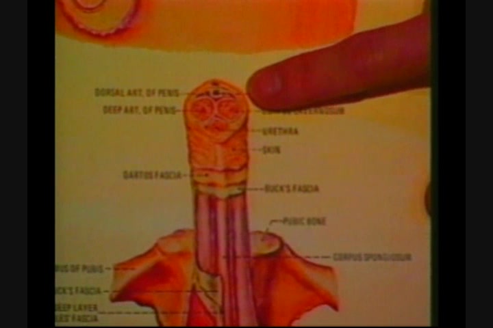 Nina Hartleys Guide To Oral Sex 1994 Adult Dvd Empire